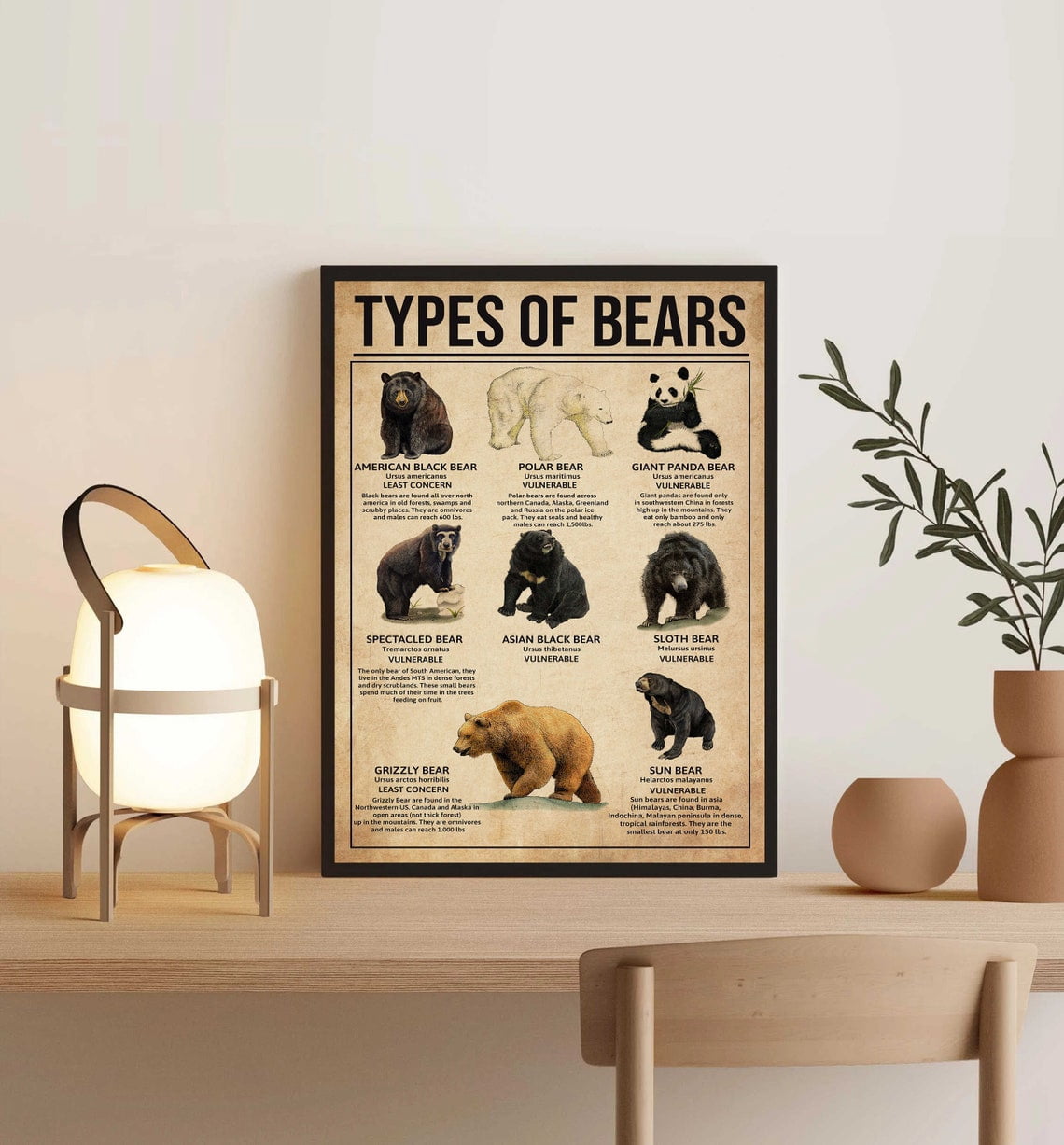 Types Of Bears Poster, Bear Knowledge, Bear Lover , Bears Print, Bears ...