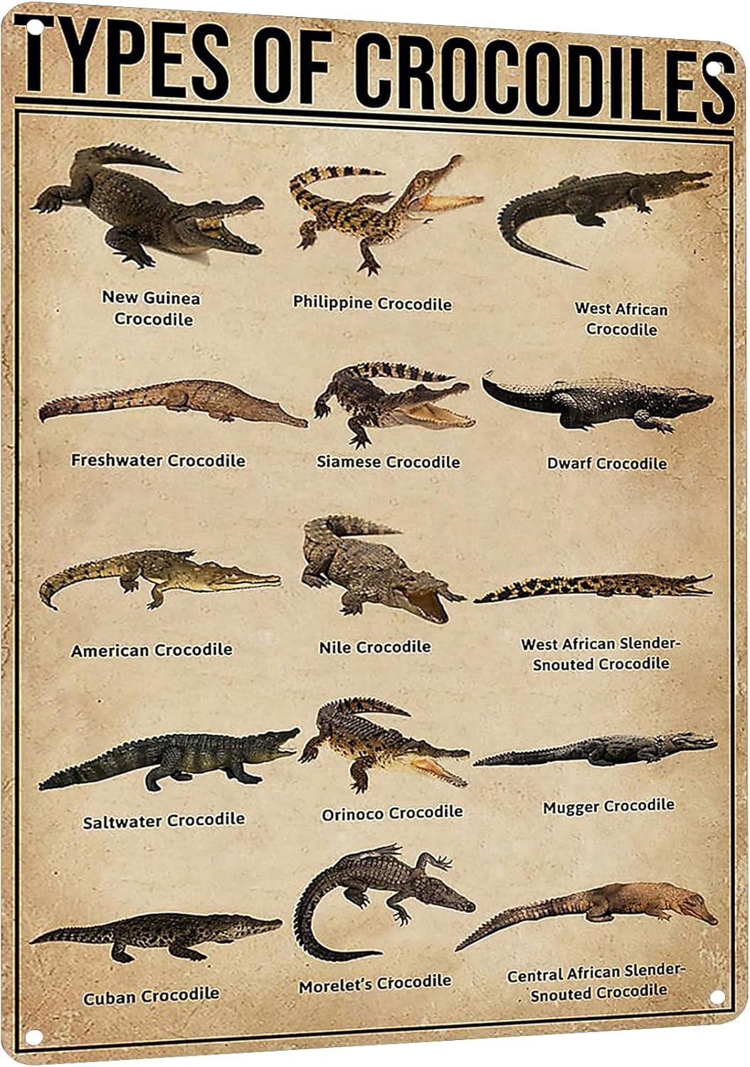 Types Of Crocodiles Tin Sign - Retro Farmhouse, Classroom & Office Wall ...