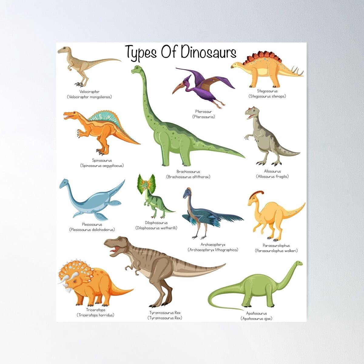 Types Of Dinosaurs, Cute Loving Dinosaurs Educational Identification ...