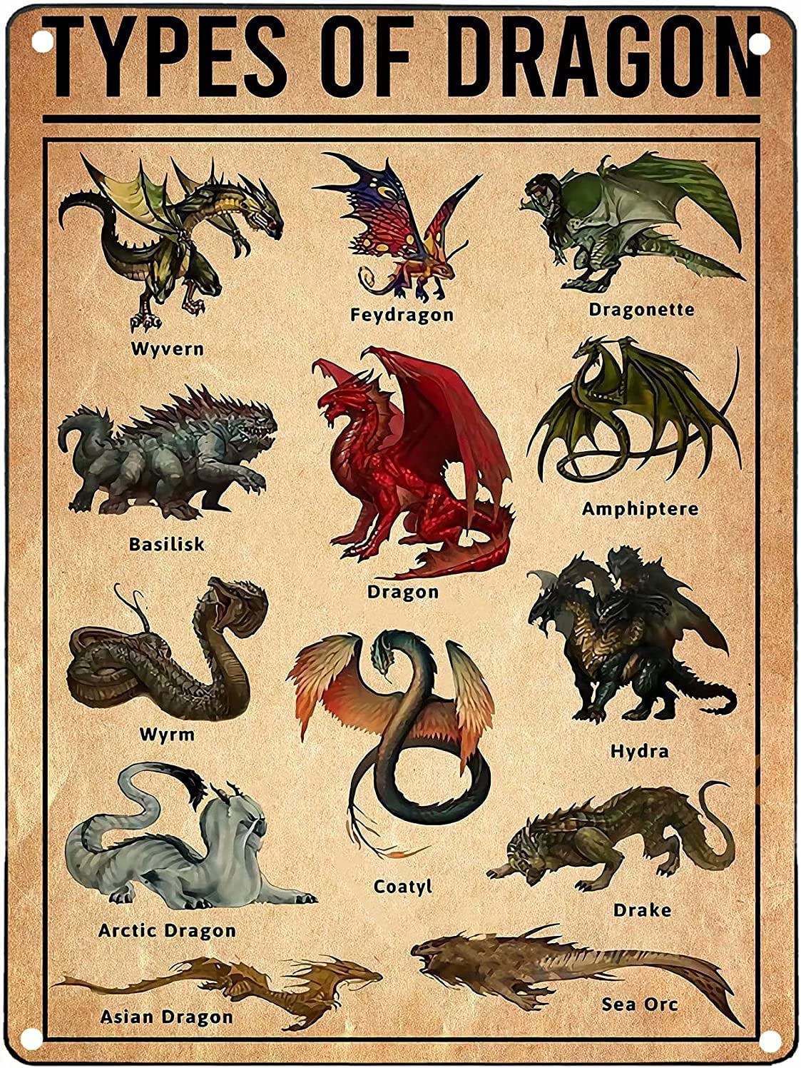 Types Of Dragon Knowledge Metal Tin Signs Dragon Vintage Poster Wall ...