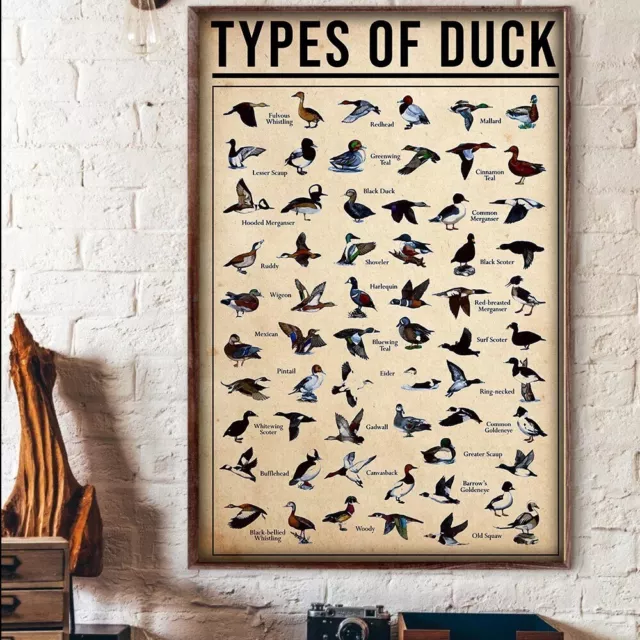 Types Of Duck Breeds Of Duck Vintage Knowledge Poster Home Decor ...