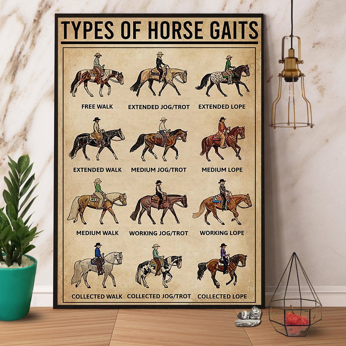 Types Of Horse Gaits Paper Poster No Frame Matte Wall Art Decor 24 x 36 ...