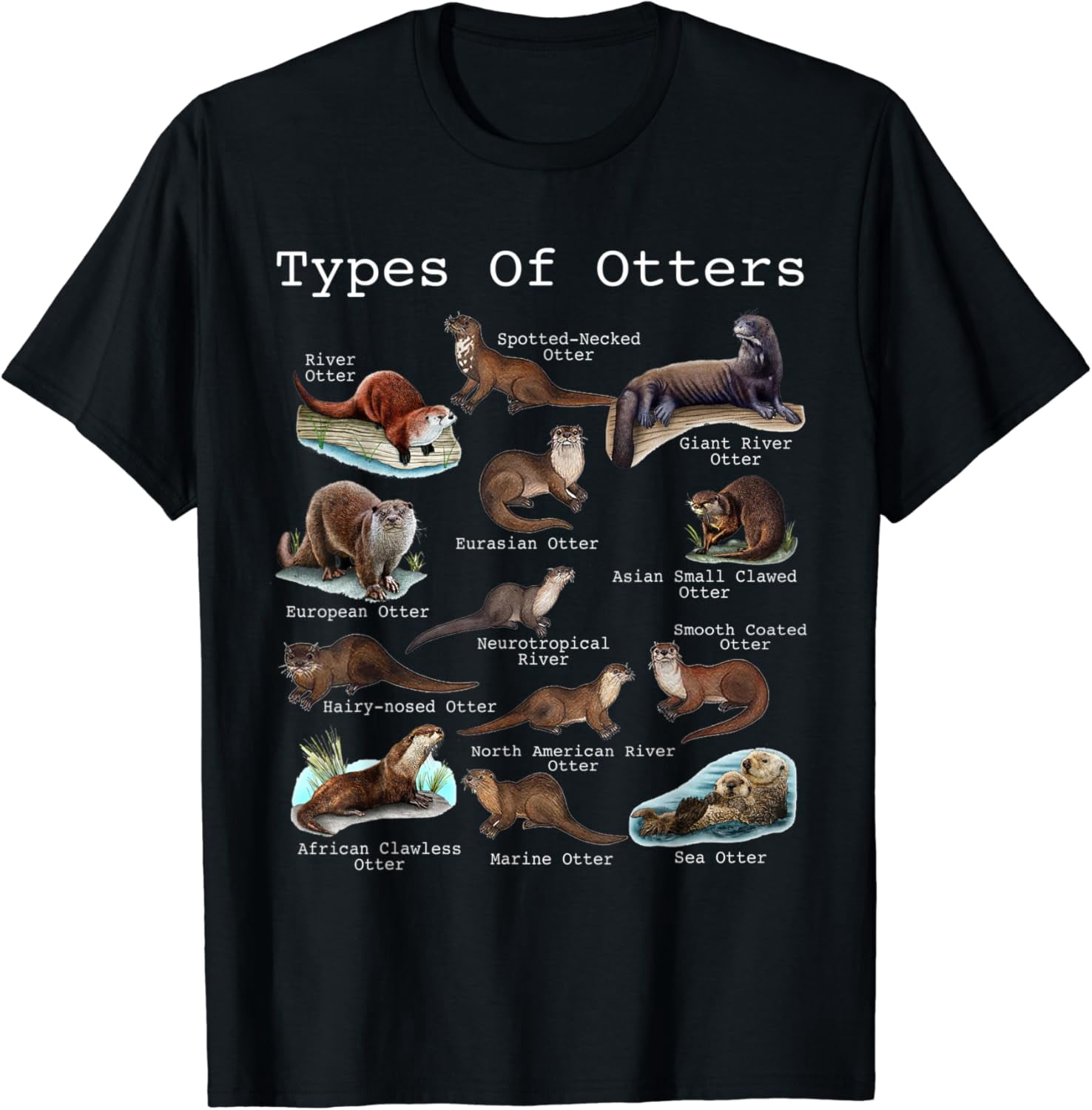 Types Of Otters Sea Otter Giant Otter Educational Animal T-Shirt ...
