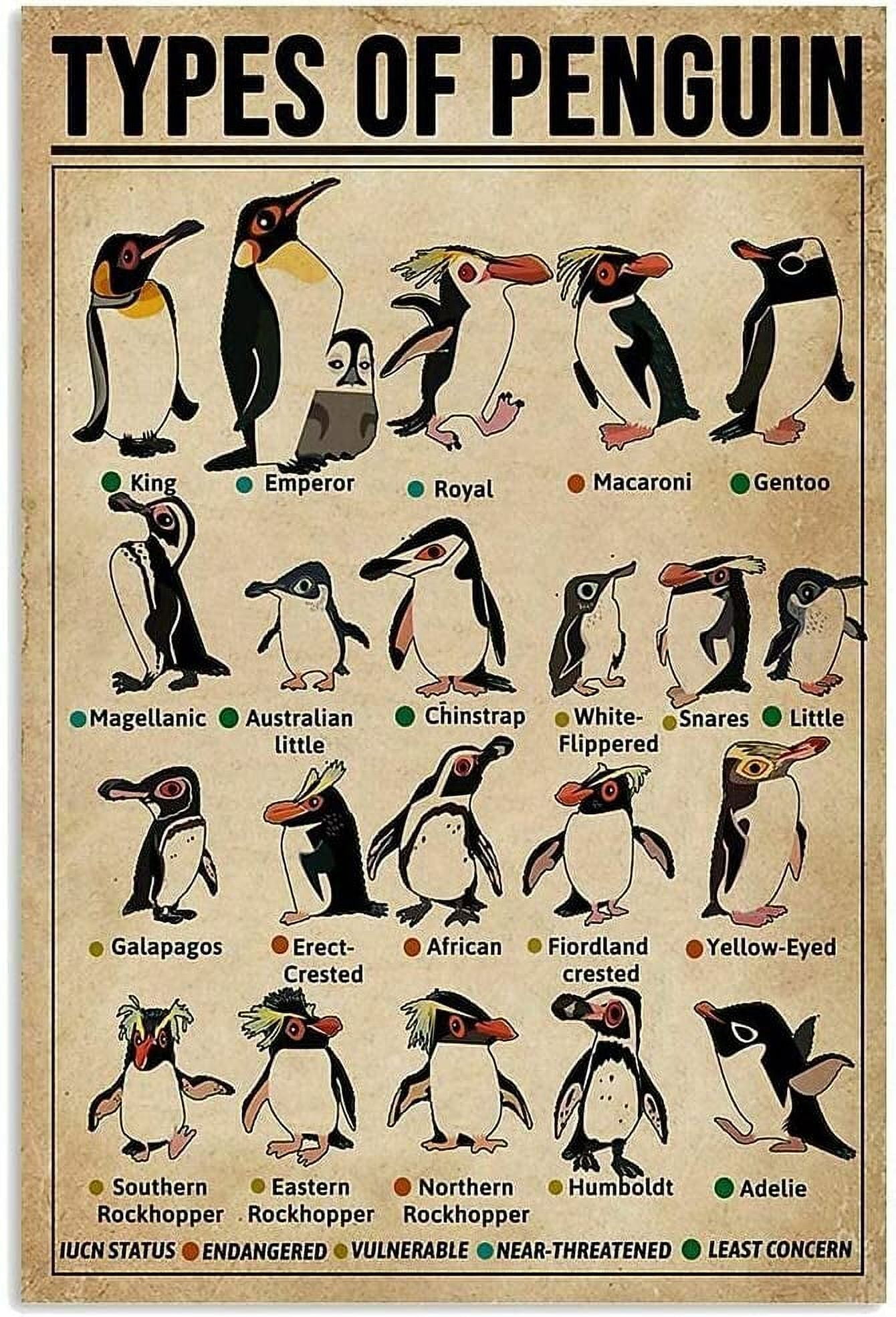 Types Of Penguin Knowledge Jigsaw Puzzles 70 Pieces For Adults - Wooden ...