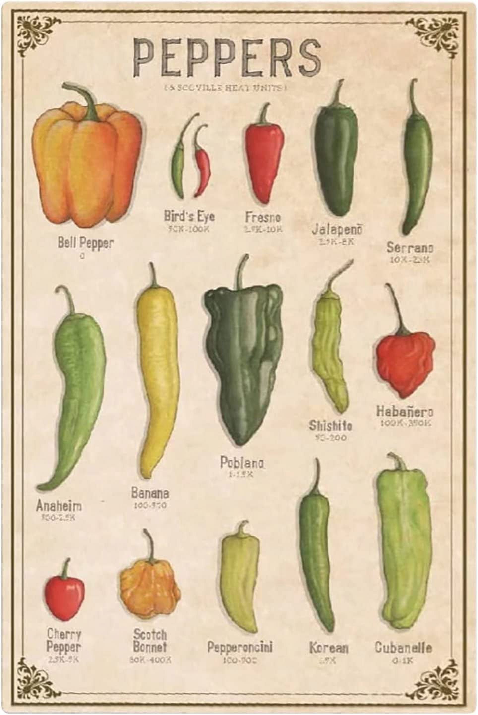 Types Of Peppers Metal Signs Wall Decor Peppers And Scoville Heat Units ...