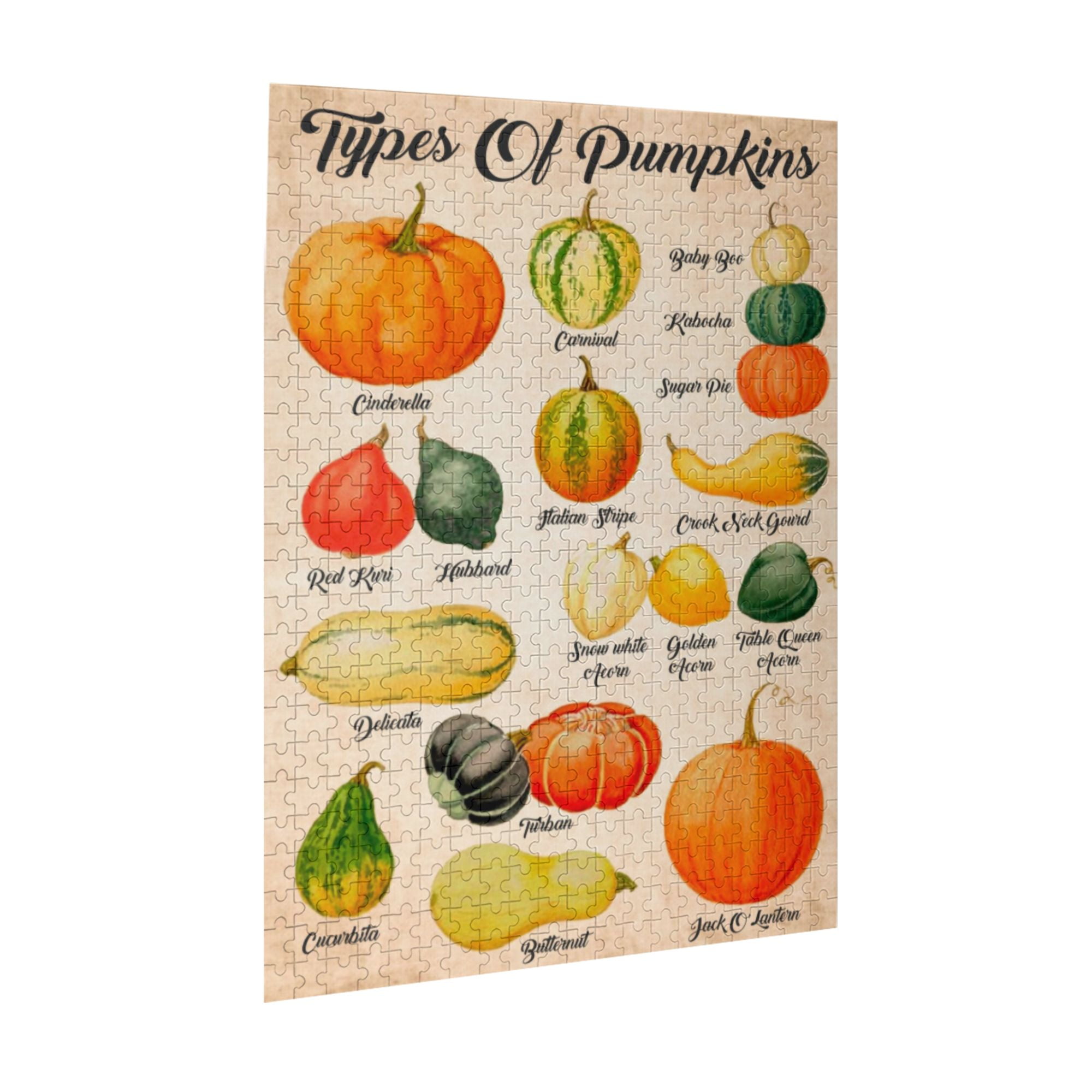 Types Of Pumpkin Poster, Pumpkin Knowledge, Pumpkin Decor, Pumpkin ...
