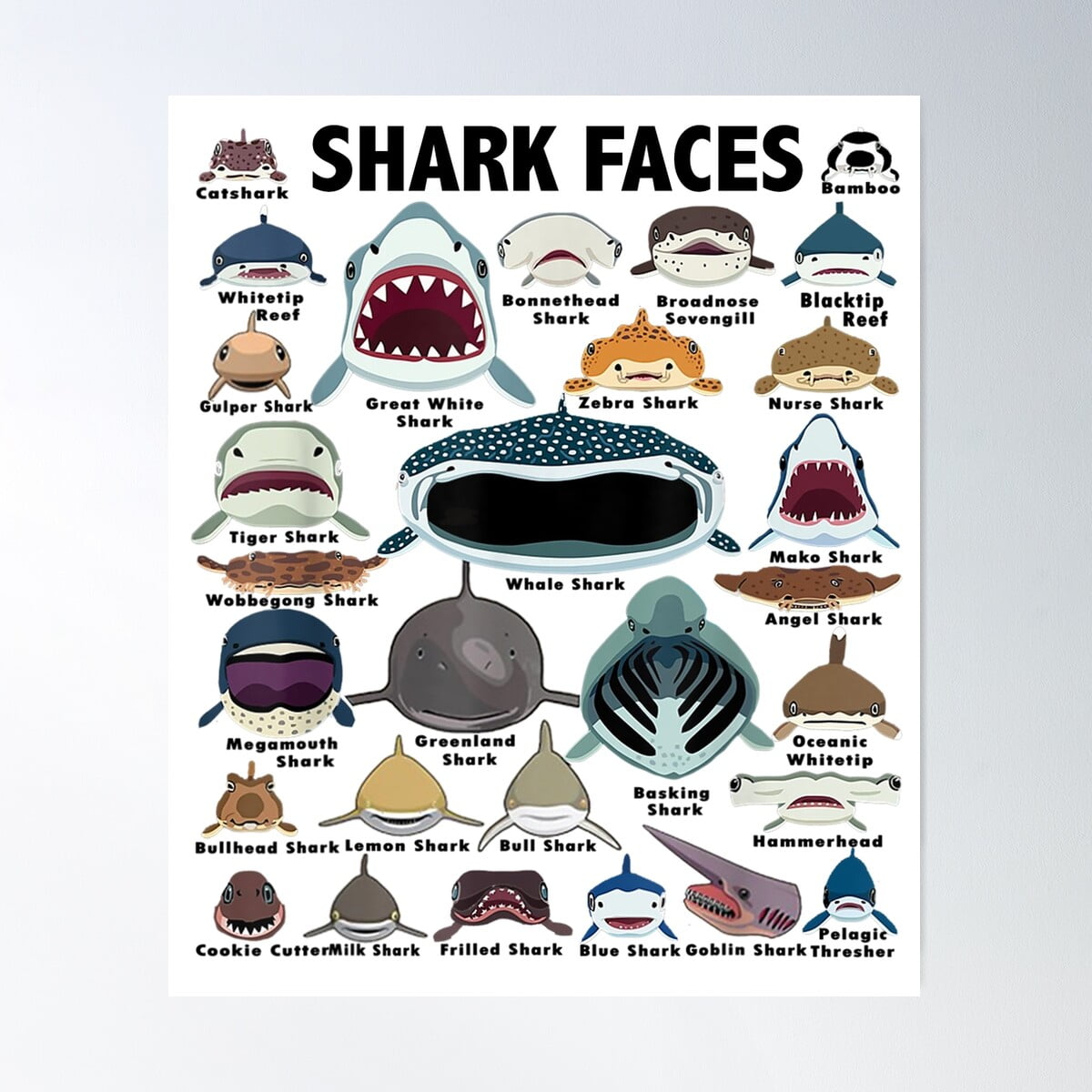 Types Of Shark Identification - Shark Faces - Shark Heart Poster Wall ...
