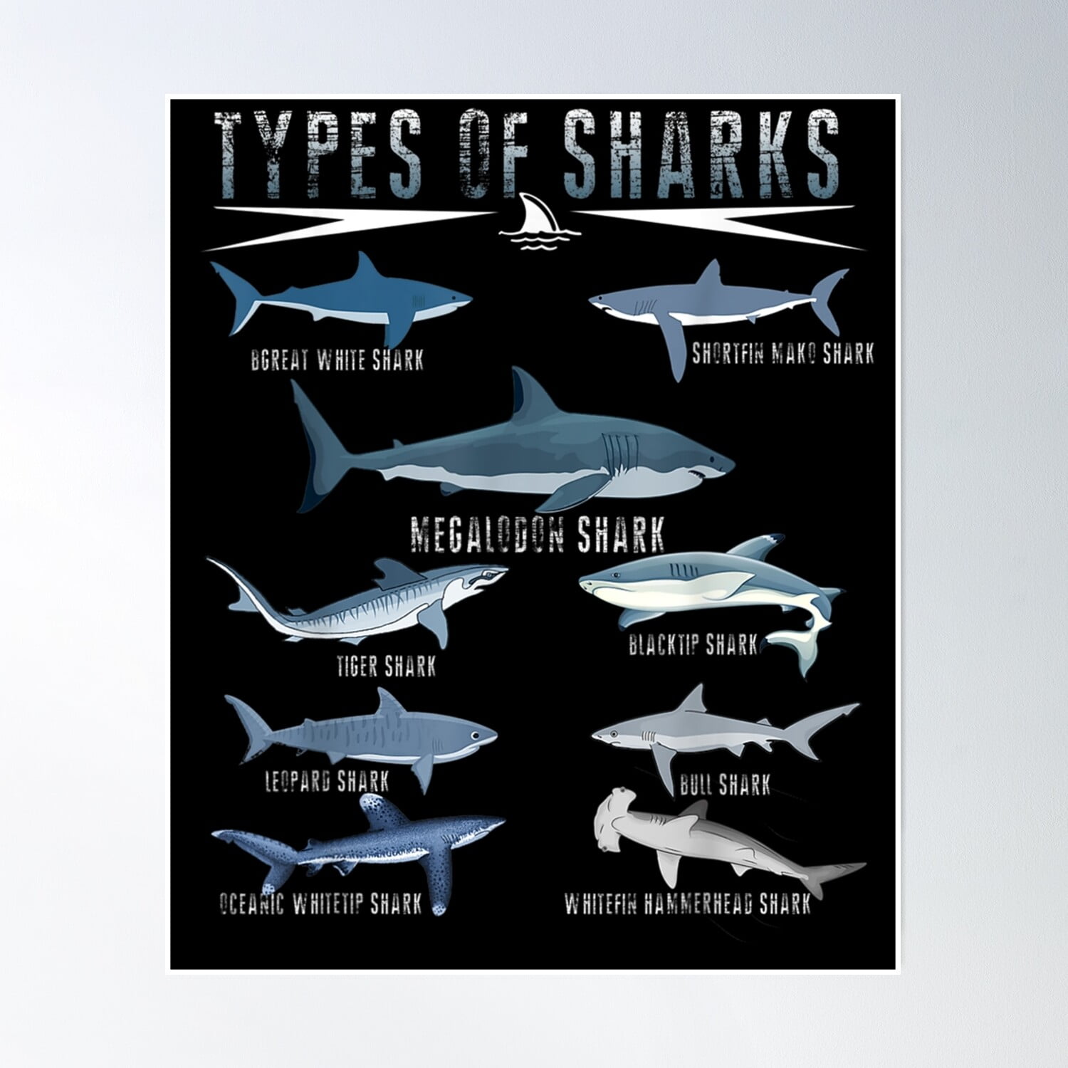 Types Of Shark Megalodon Great White Nurse Shark Poster Wall Art ...