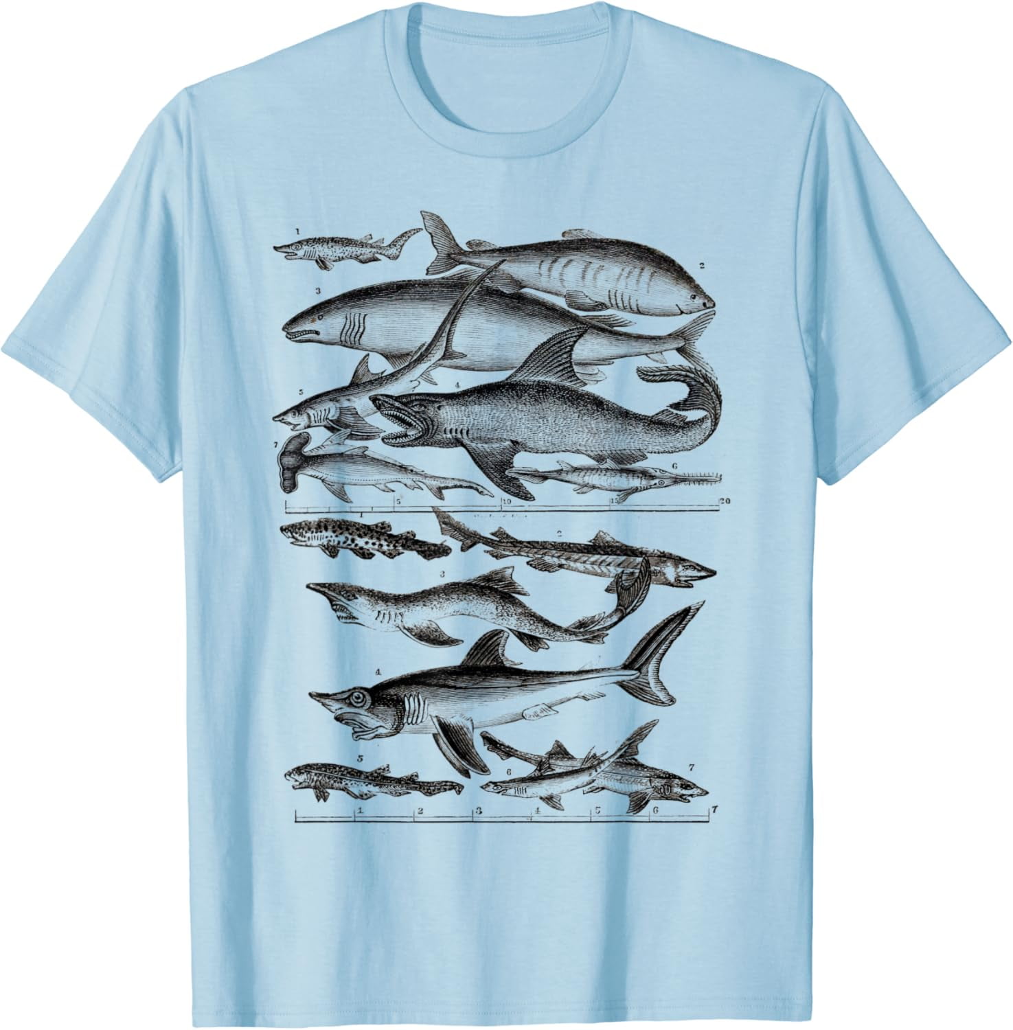 Types Of Sharks Biology Ocean Sea Animals Love White Shark T-Shirt ...