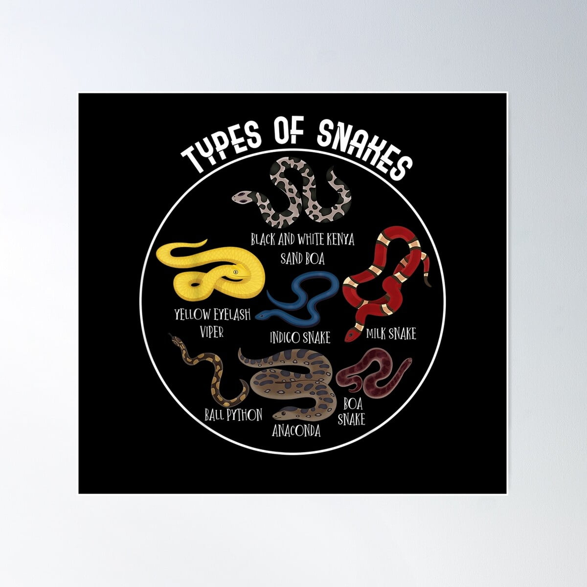 Types Of Snakes - Educational Serpent - 7 Different Snake T-Shirt ...