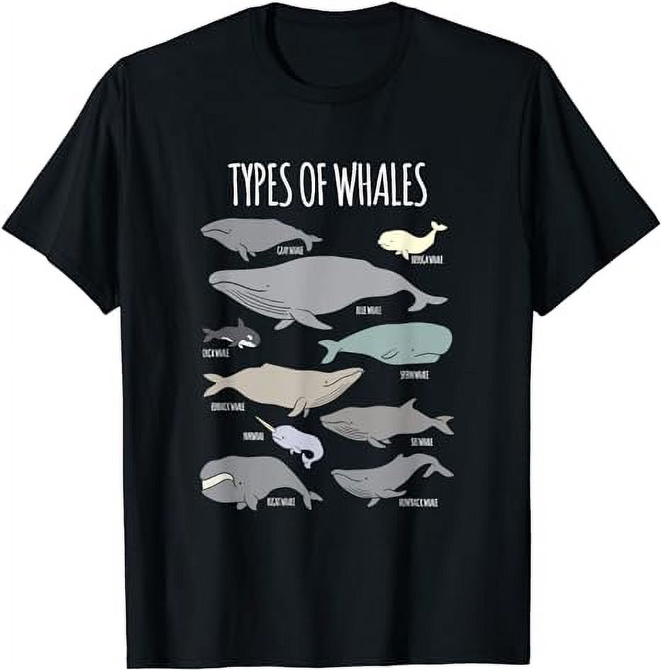 Types Of Whales Cute Ocean Mammals Guide T-Shirt - Walmart.com