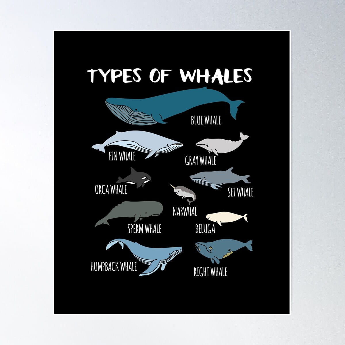 Types Of Whales Poster Wall Art, Modern Wall Decor For Living Room ...