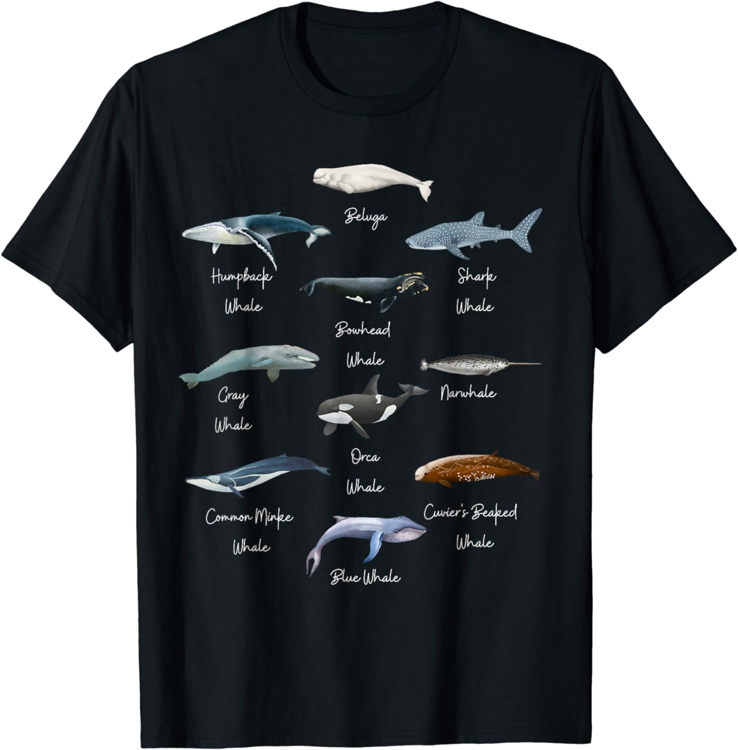 Types Of Whales Watercollor Cute Ocean Mammals Guide T-Shirt - Walmart.com