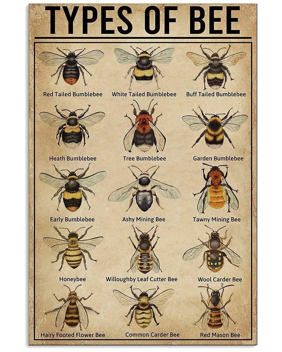 Types Of animal Posters animal Knowledge Popular Science Guide Room ...