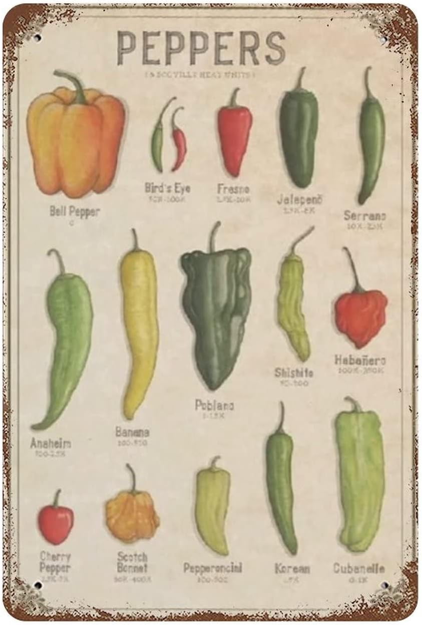 Accoter Types of Peppers Tin Plaque - Walmart.com