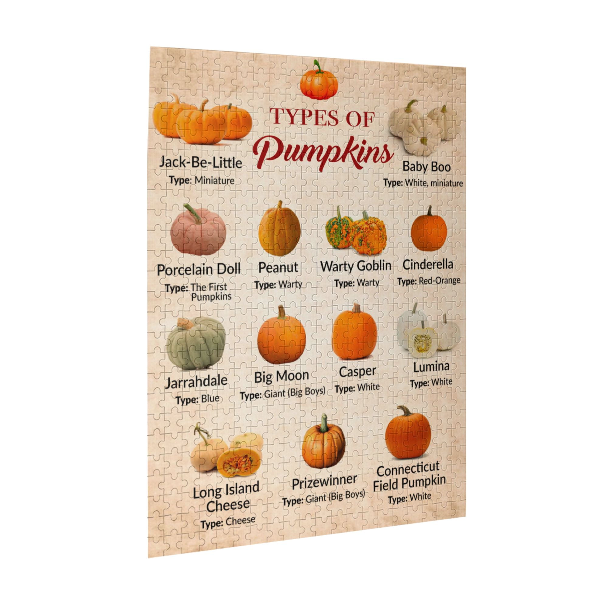 Types Of Pumpkin Poster, Pumpkin Knowledge, Pumpkin Decor, Pumpkin ...