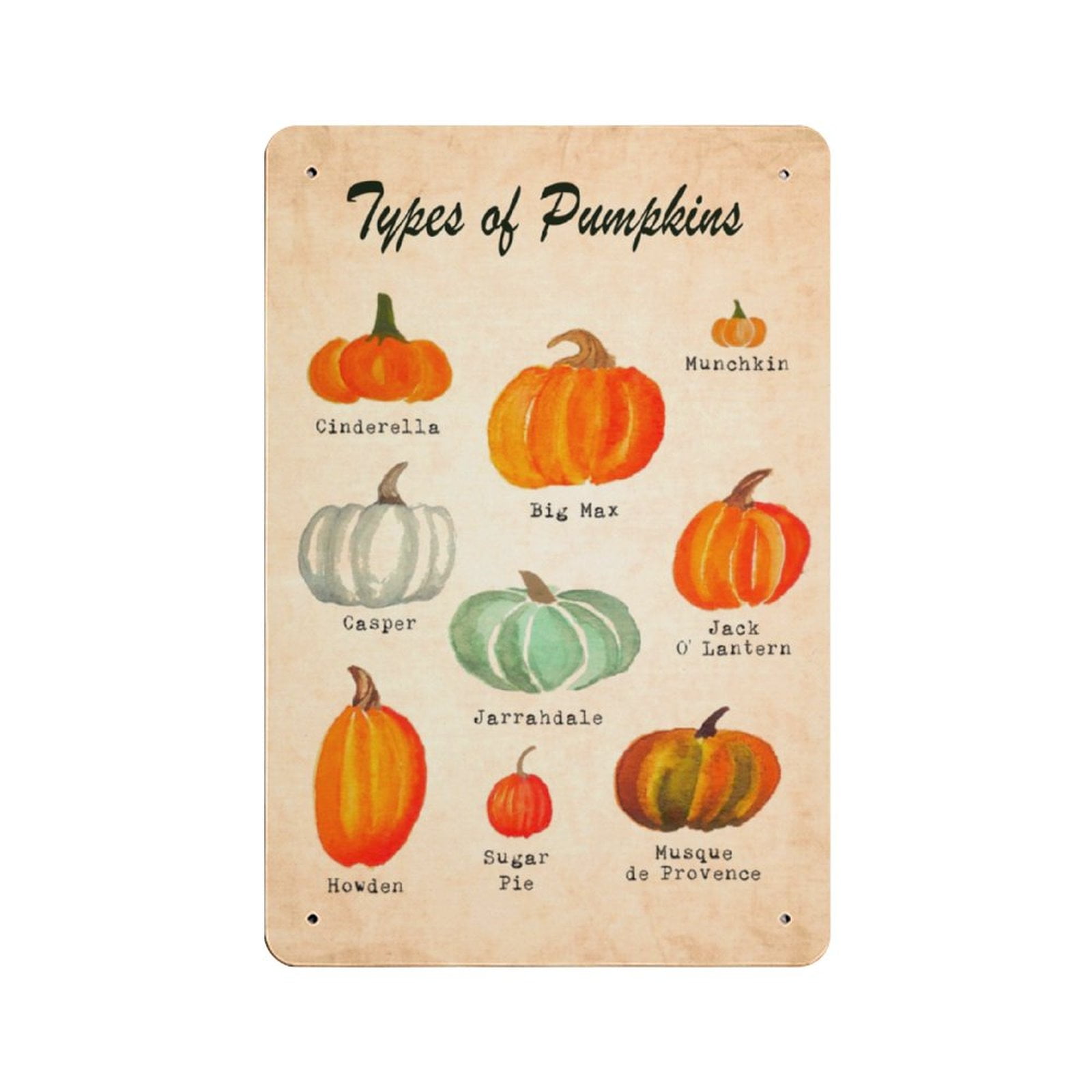 Types of Pumpkins tin sign, Pumpkin Decor, Pumpkin Chart tin sign ...