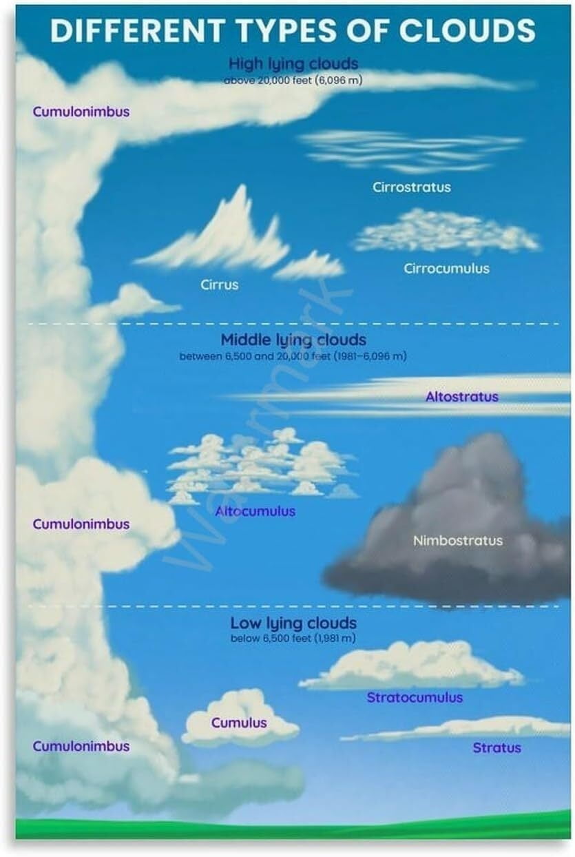 Types of Clouds Poster Meteorology Science (1) Canvas Painting Wall Art ...