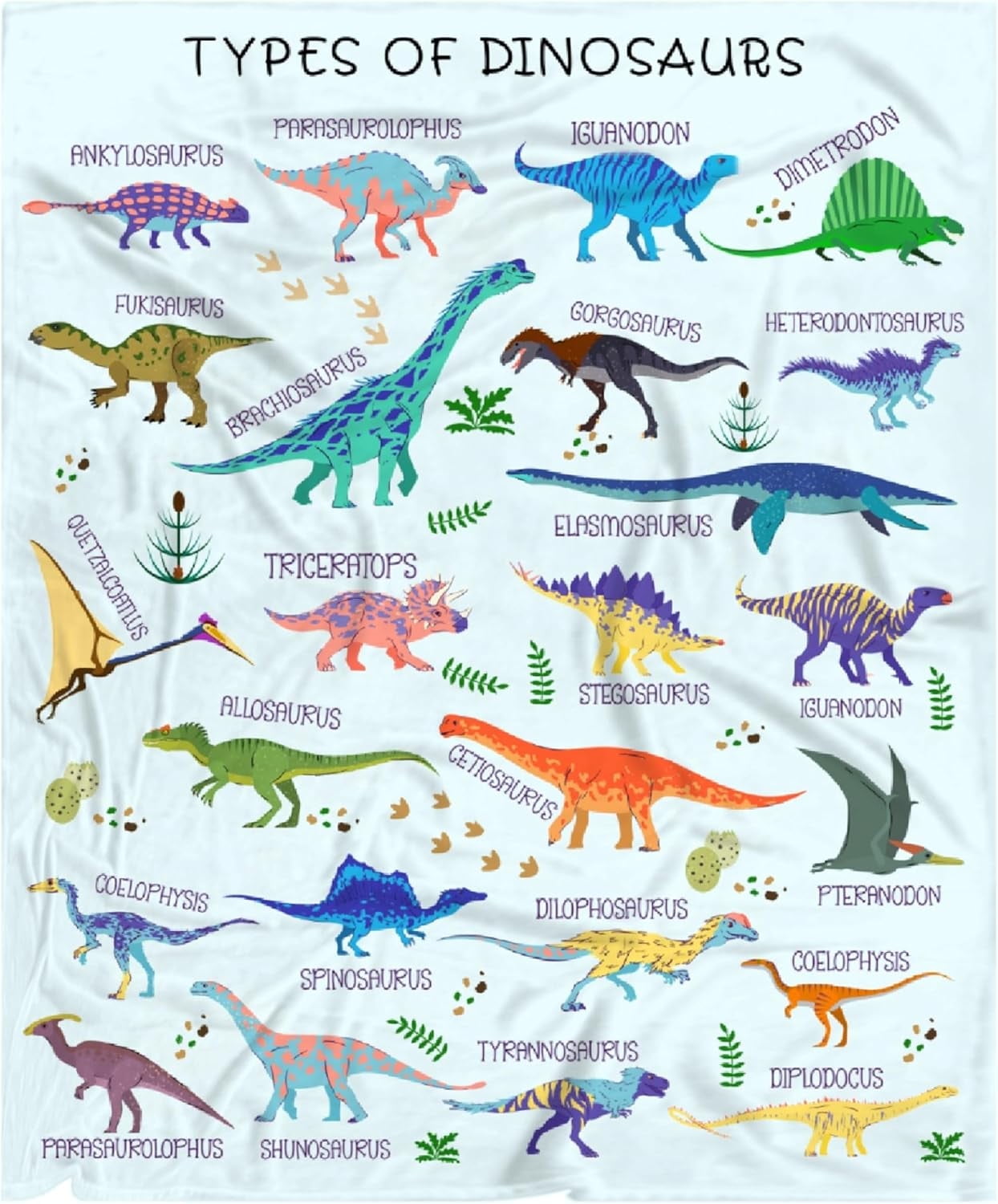 Types of Dinosaurs Blanket Gifts for Girls Boys Women - Super Soft Cozy ...