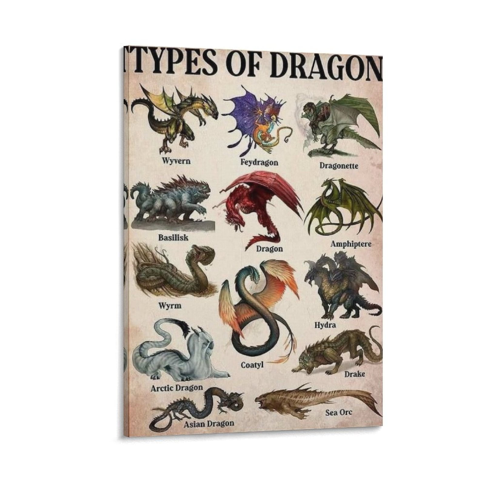 Types of Dragon Posters Art Print Wall Photo Paint Poster Hanging ...