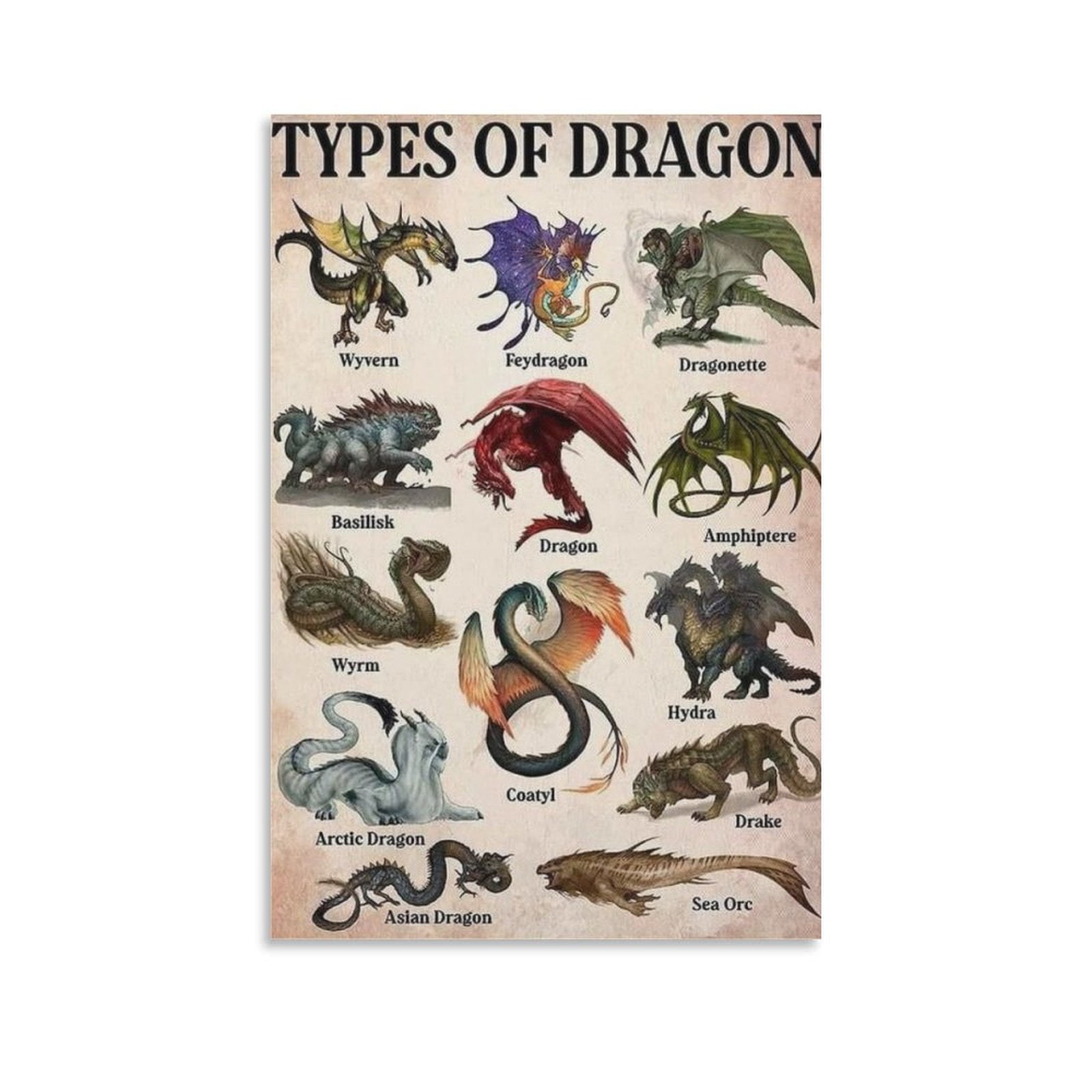 Types of Dragon Wall Art Picture Painting Poster Canvas Print Posters ...