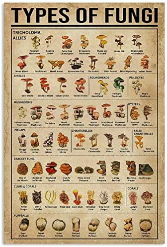Types of Fungi Metal Sign Retro Tin Sign Wall Decoration Plaque for ...