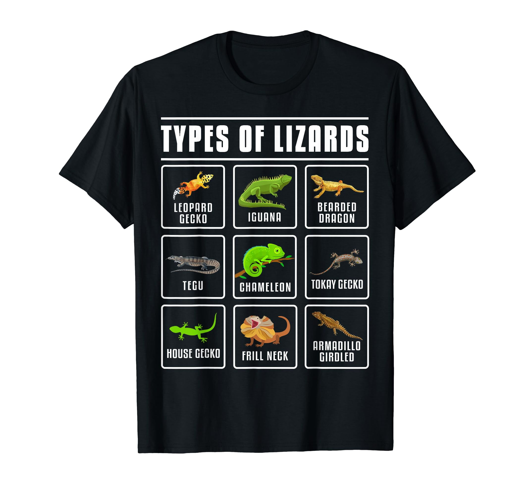 Types of Lizards Lizard Reptiles T-Shirt - Walmart.com