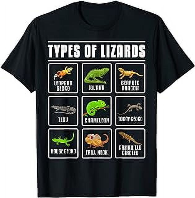 Types of Lizards Lizard Reptiles - Walmart.com
