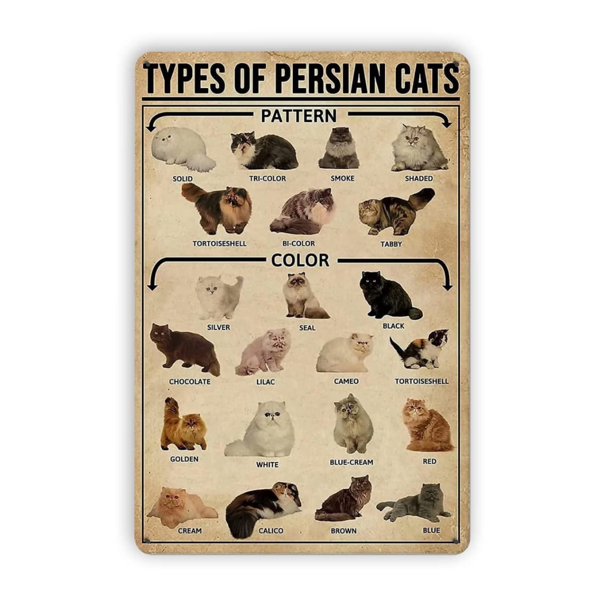 Types of Persian Cats Metal Tin Sign, Hummus Knowledge, Vintage Wall ...
