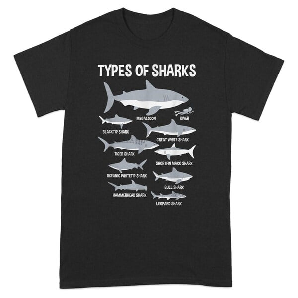 Types of Sharks Megalodon Great White Hammerhead Bull Tiger Oceanic ...