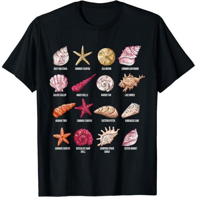 Types of seashells beach shelling conch sea shell T-Shirt - Walmart.com