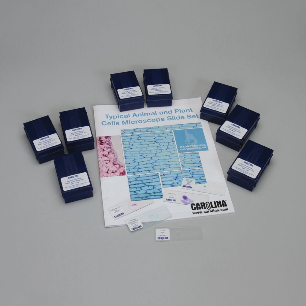 Typical Animal And Plant Cells Microscope Slide Classroom Set - Walmart.com