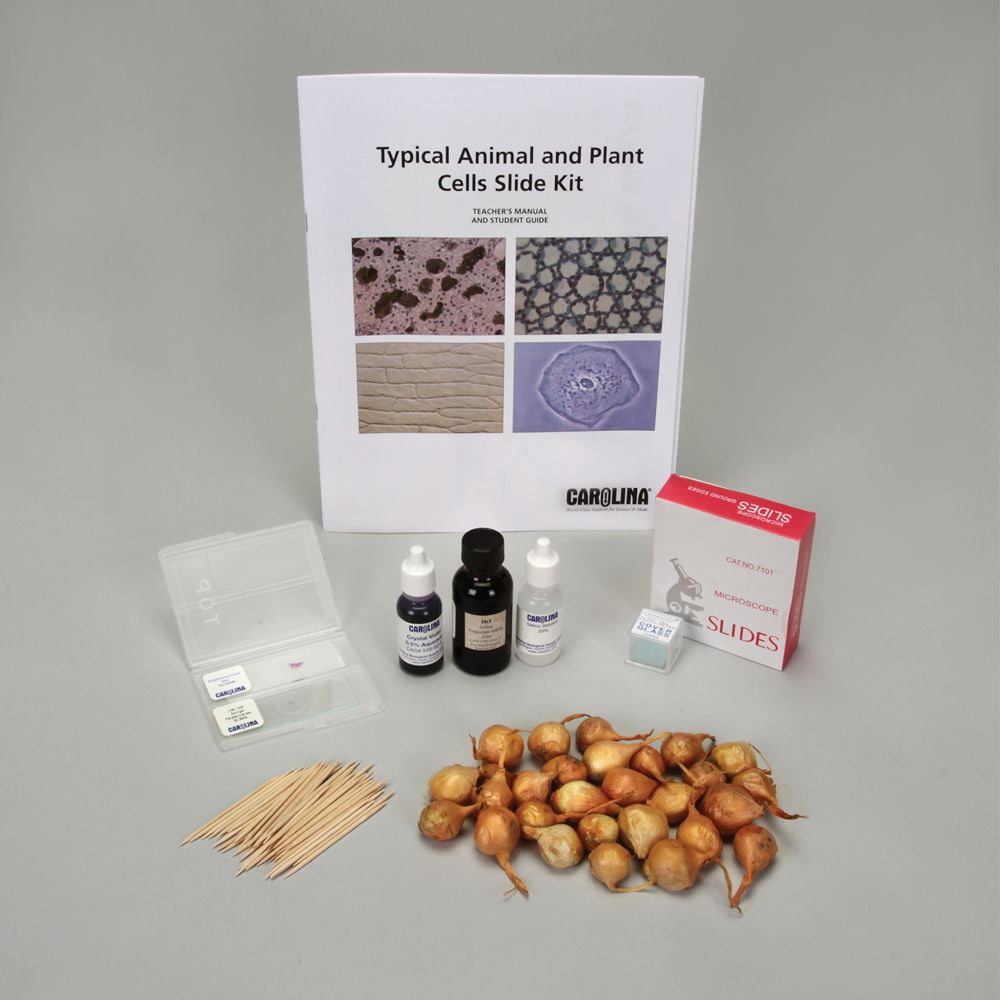 Typical Animal And Plant Cells Slide Kit - Walmart.com