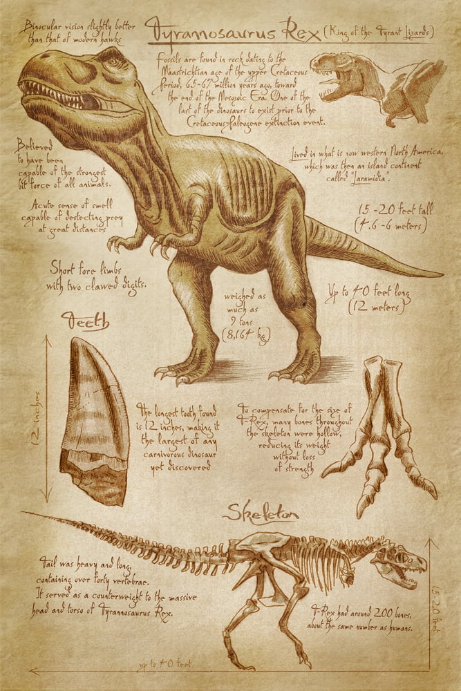 Tyrannosaurus Rex Dinosaur, Da Vinci Style (12x18 Wall Art Poster, Room ...
