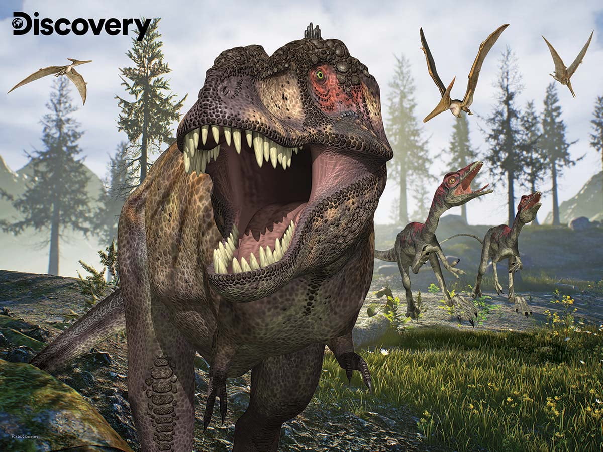 Tyrannosaurus Rex Discovery - Walmart.com