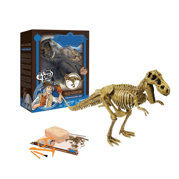 Excavation Kits
