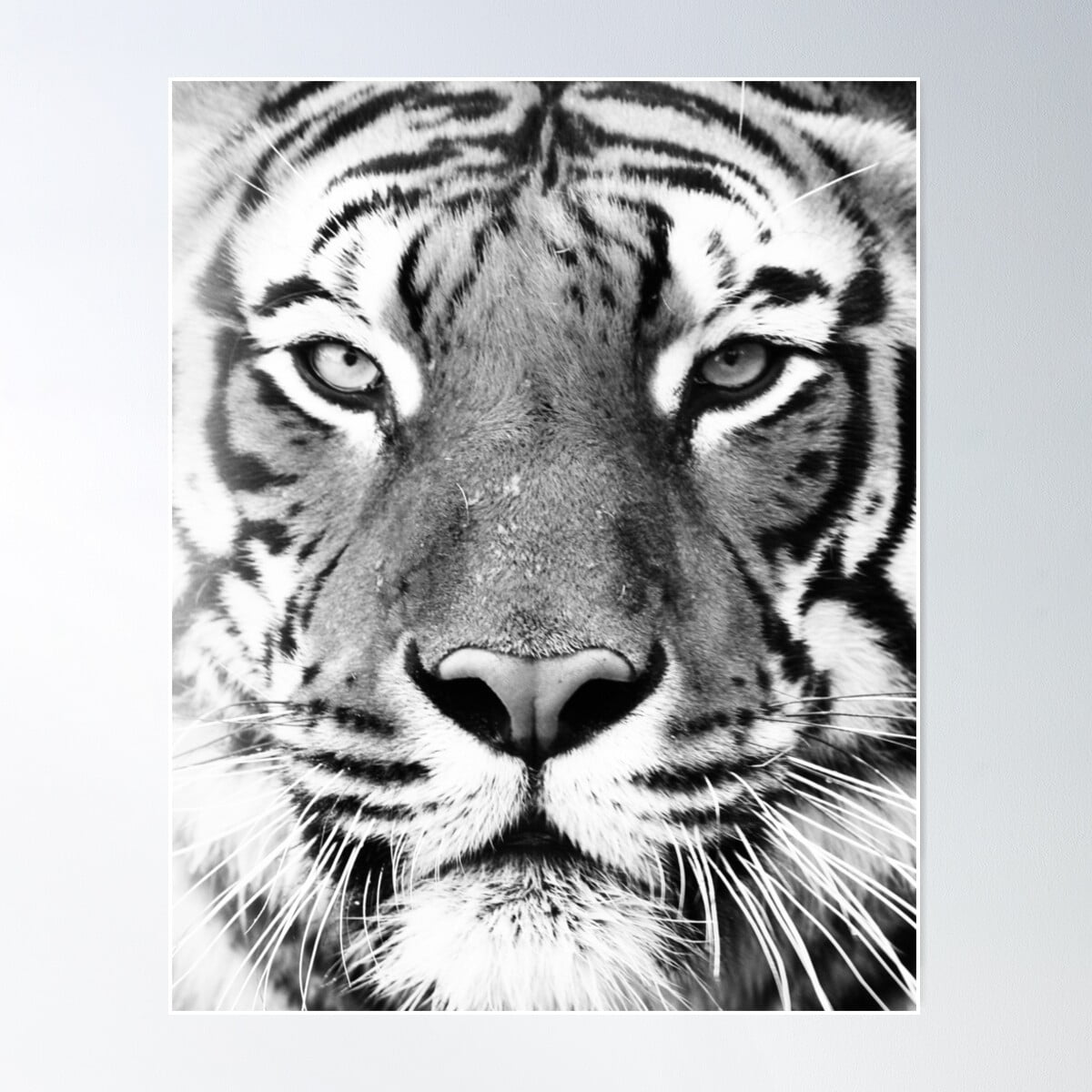 Tiger Portrait Print Poster Wall Art, Modern Wall Decor For Living Room ...