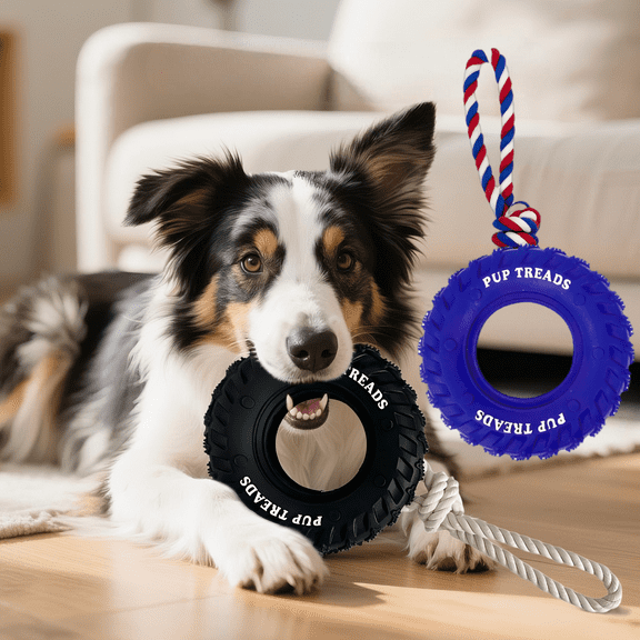 Dog Toy Balls, Squeaky, Floating, Spiky, Interactive Fetch, Chew for ...