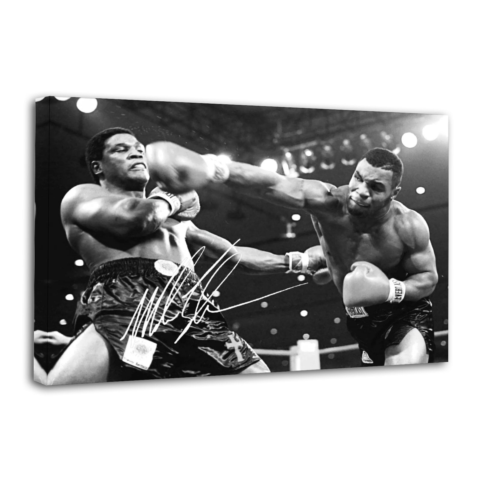 Tyson Vs Trevor Berbick World Boxing Heavyweight Championship Picture ...