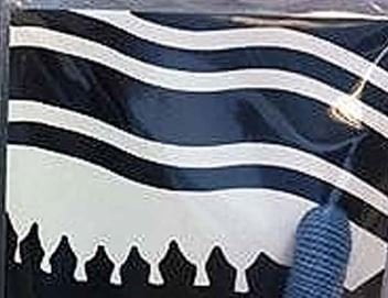 Tzitzis Strings - Ptil Tekhelet - Ravad Fringes (Thin Strings ...