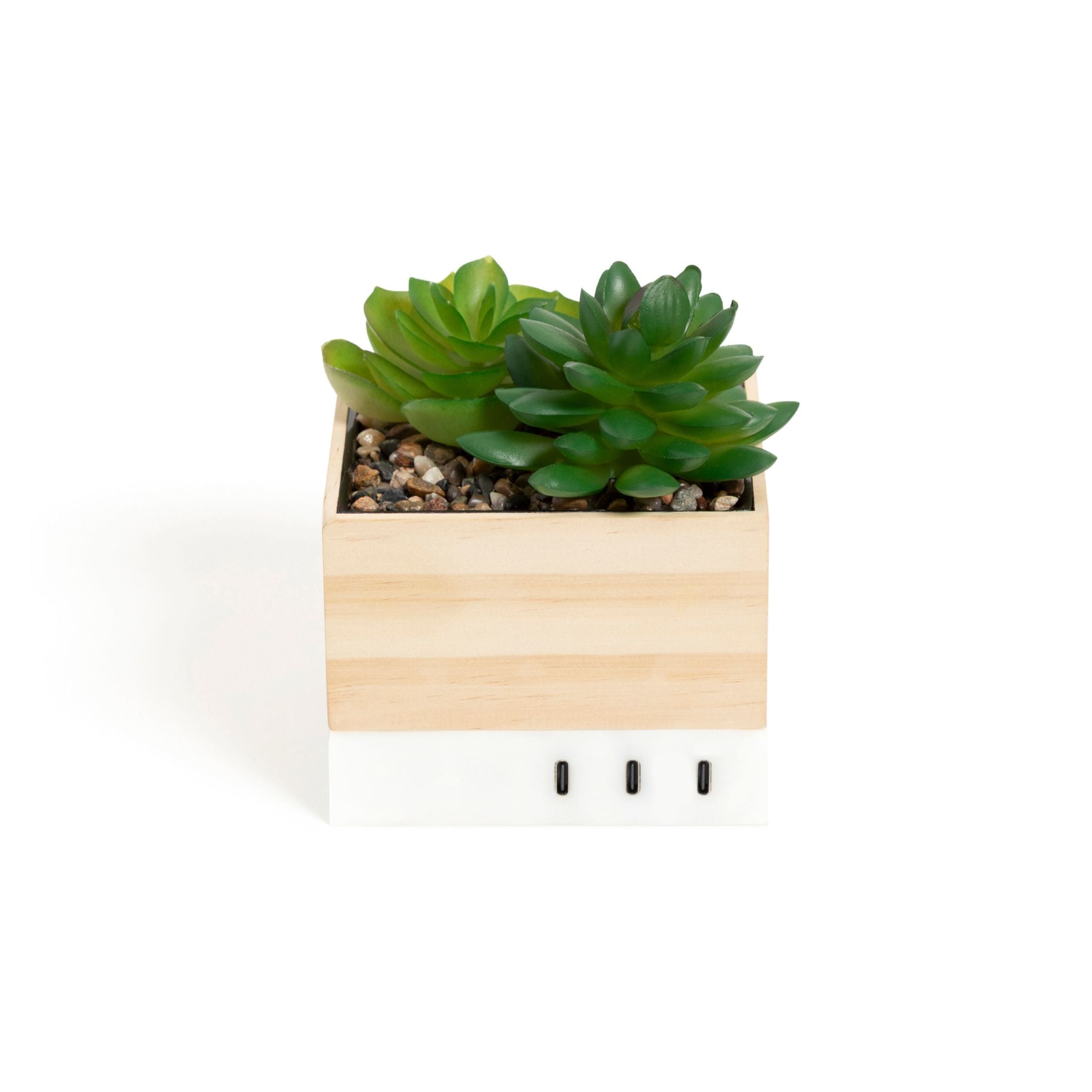 U Brands Desktop Charging Organizer, 5.4 x 3.9 x 3.9“, Succulent ...