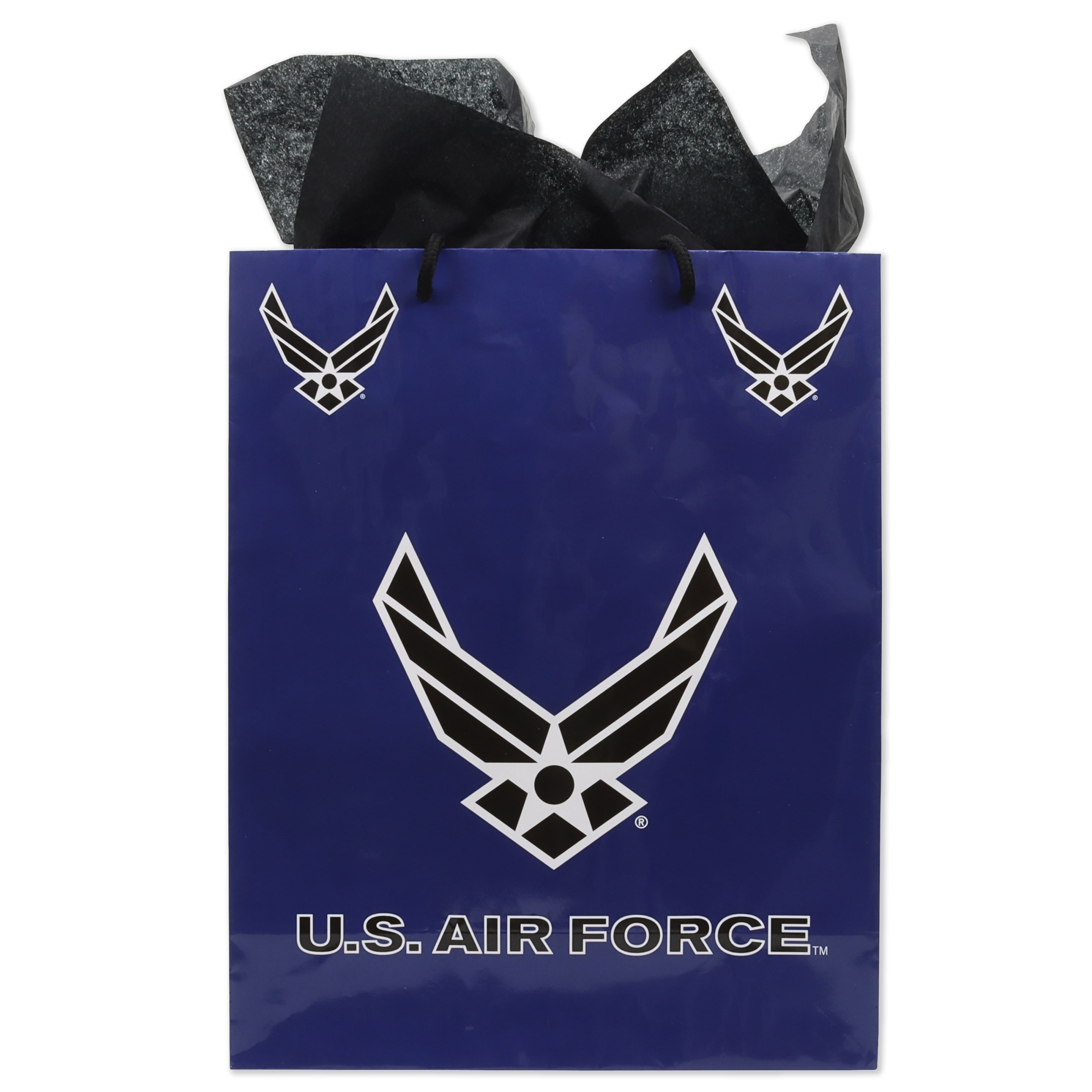U.S. Air Force Gift Bag – 1 Pc. - Proudly Displaying the Official U.S ...