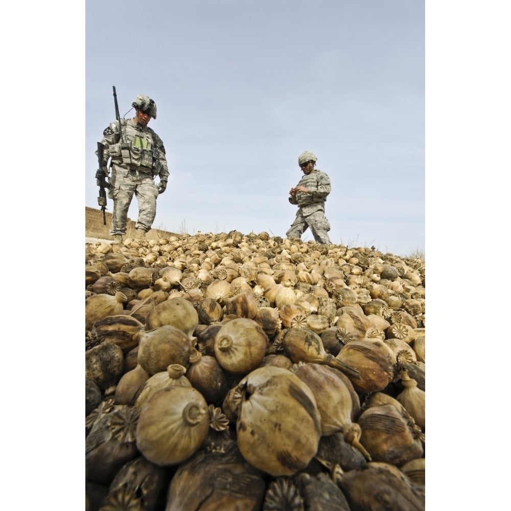 U.S. Army Colonel And His Afghan Interpreter Discover A Pile Of Dried ...