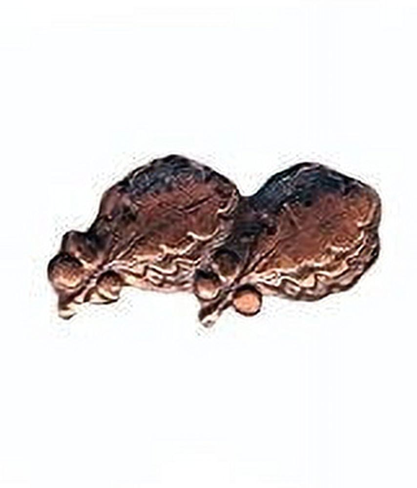 U.S. Army Double Bronze Oak Leaf Cluster Ribbon Device STA-BRITE ...