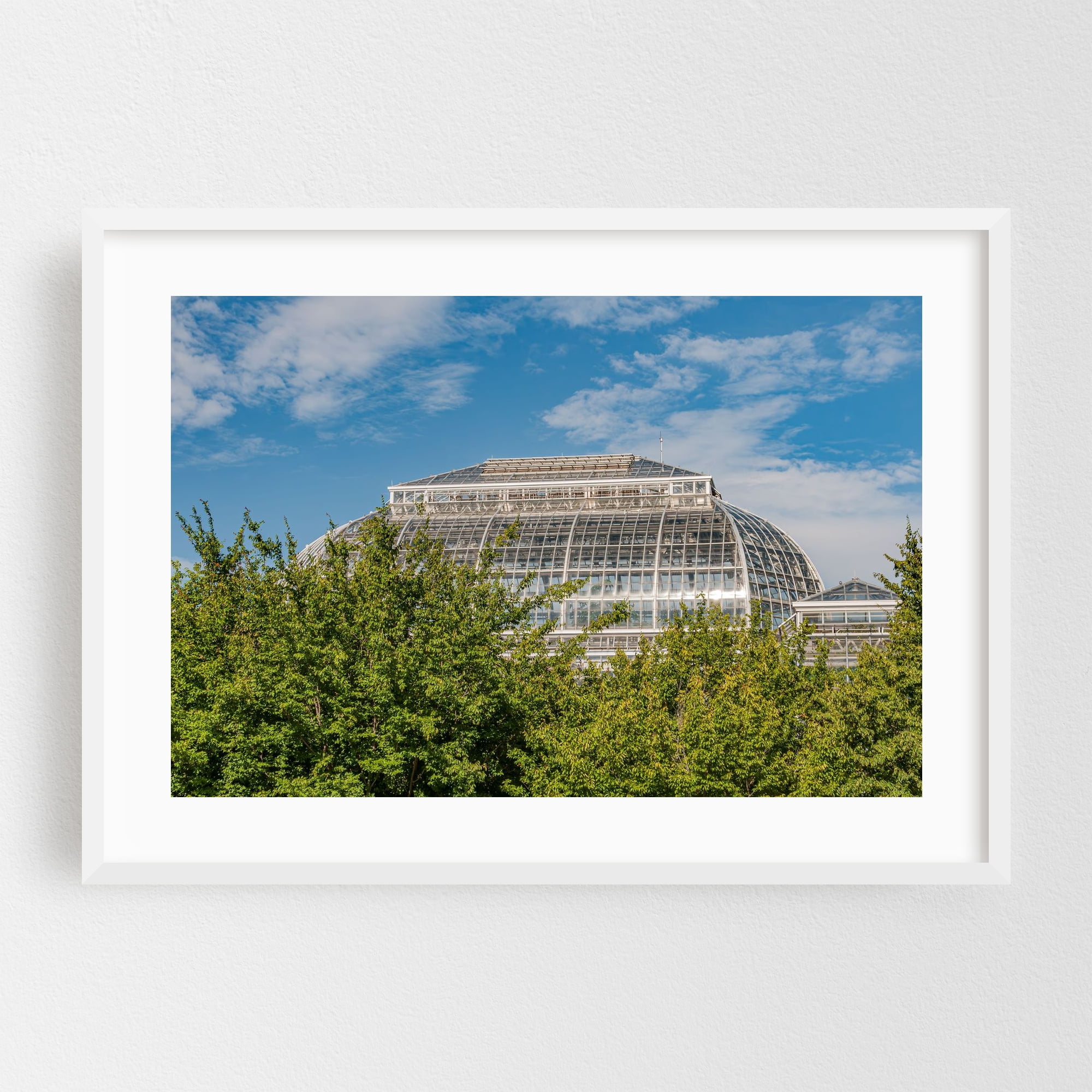 U.S. Botanic Garden Conservatory, Washington DC - Washington District ...