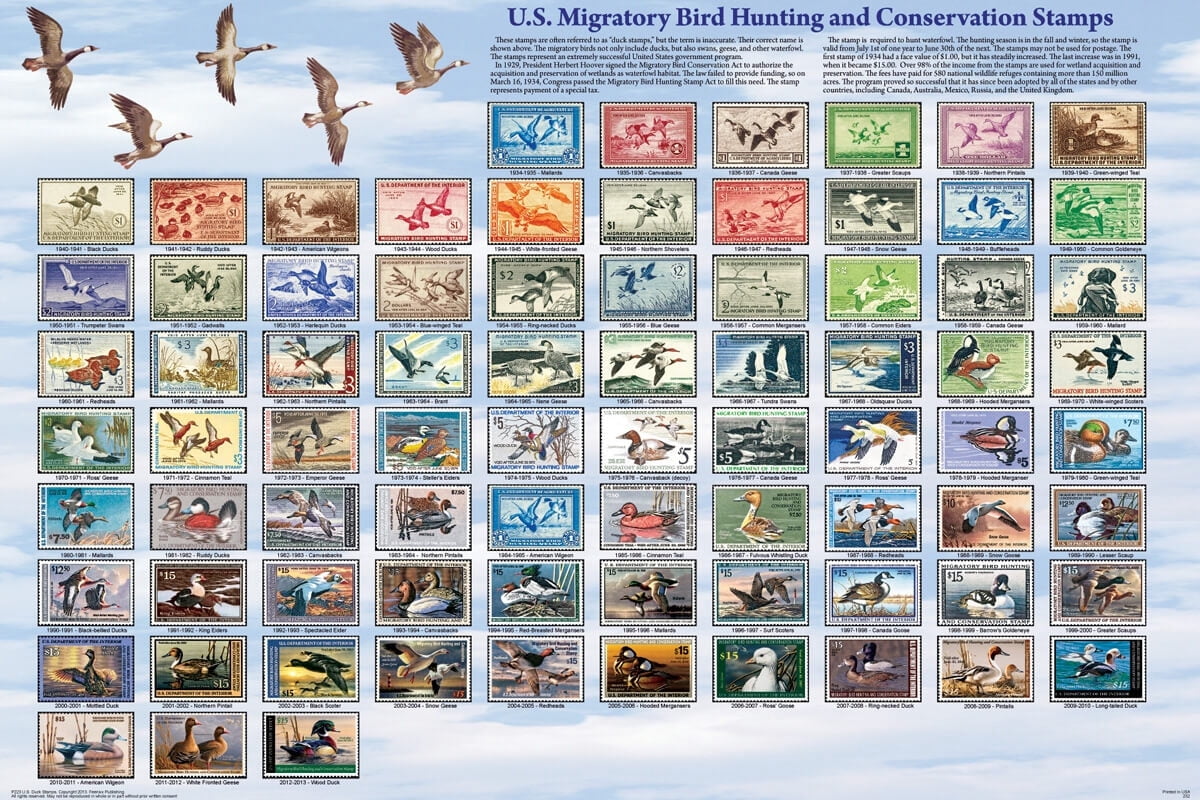 U.S. Migratory Bird Hunting and Conservation Stamps Educational Poster ...