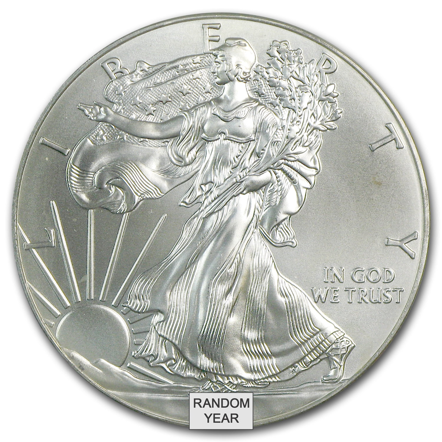 U.S. Mint 1 oz Silver Eagle Coin, Cull Condition, 999 Fine Silver ...