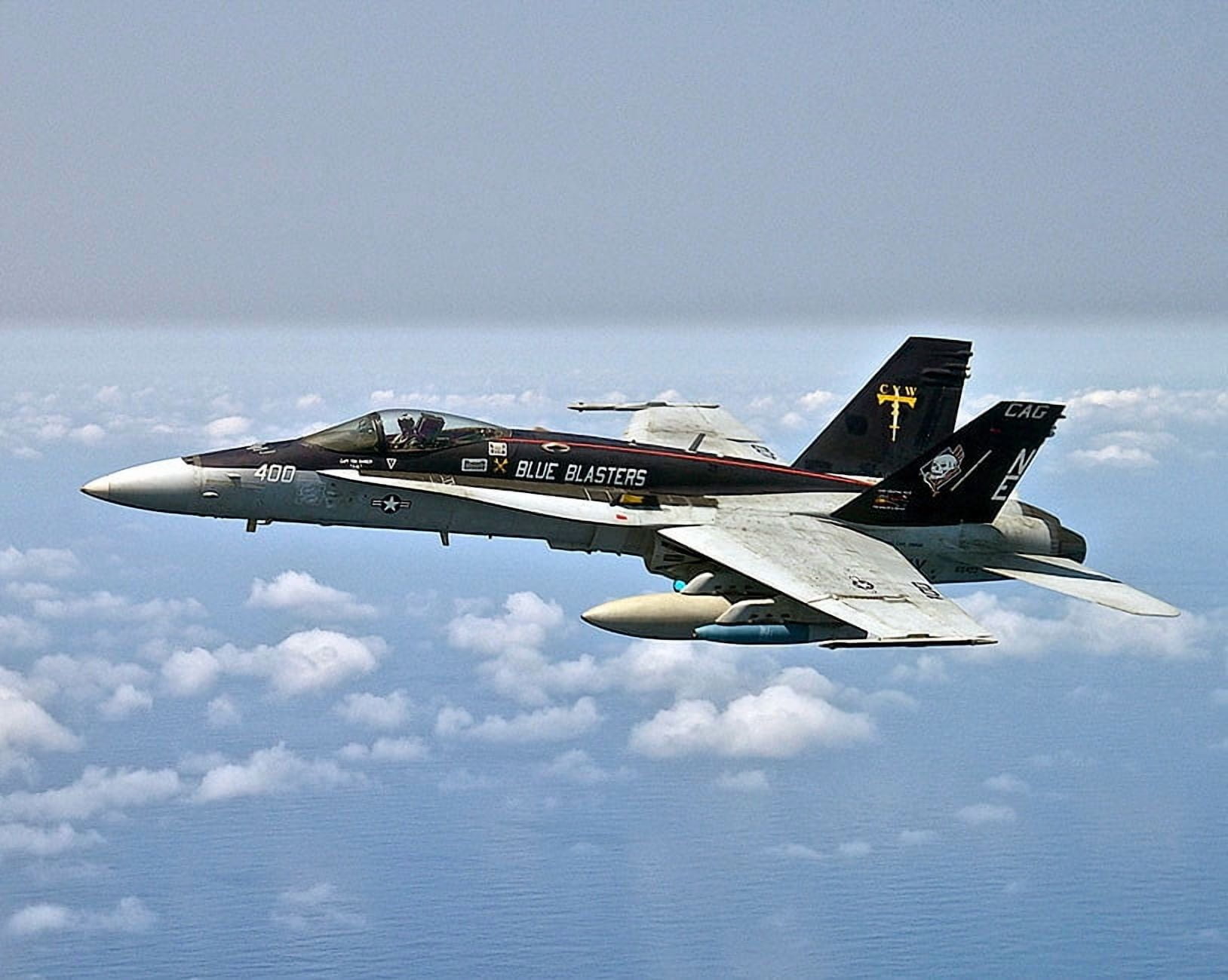 U.S. Navy Blue Blasters F/A-18C Hornet in Flight - 20x30 Inch Glossy ...