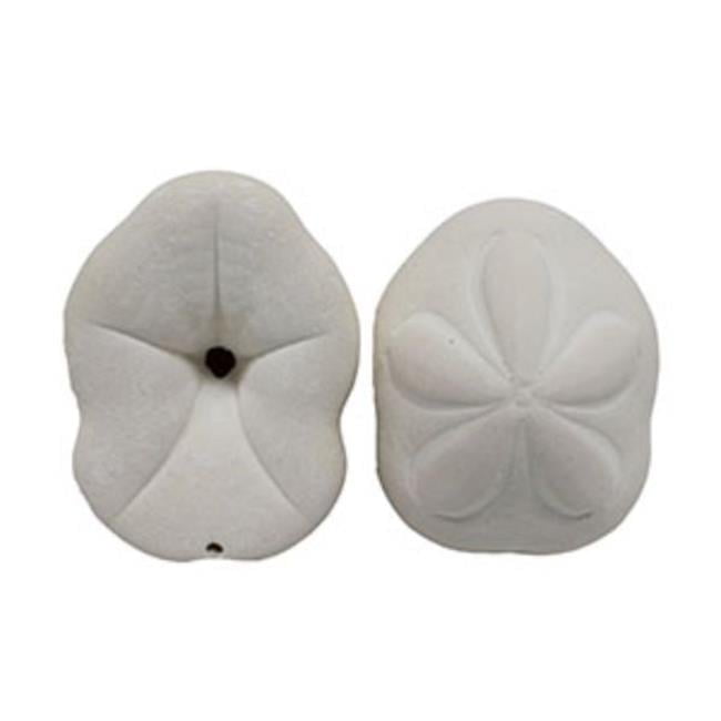 U.S. Shell 08008 Sea Biscuit - 2 Piece - Walmart.com