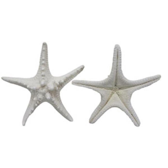 U.S. Shell 08025 Armoured Starfish, White - 2 Piece - Walmart.com